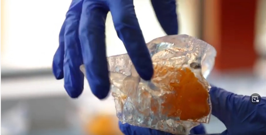 Innovative Residency Training - Eye & Ear Foundation of Pittsburgh