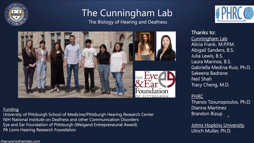 Hereditary Hearing Loss: New Innovations for Treatment - Eye & Ear ...