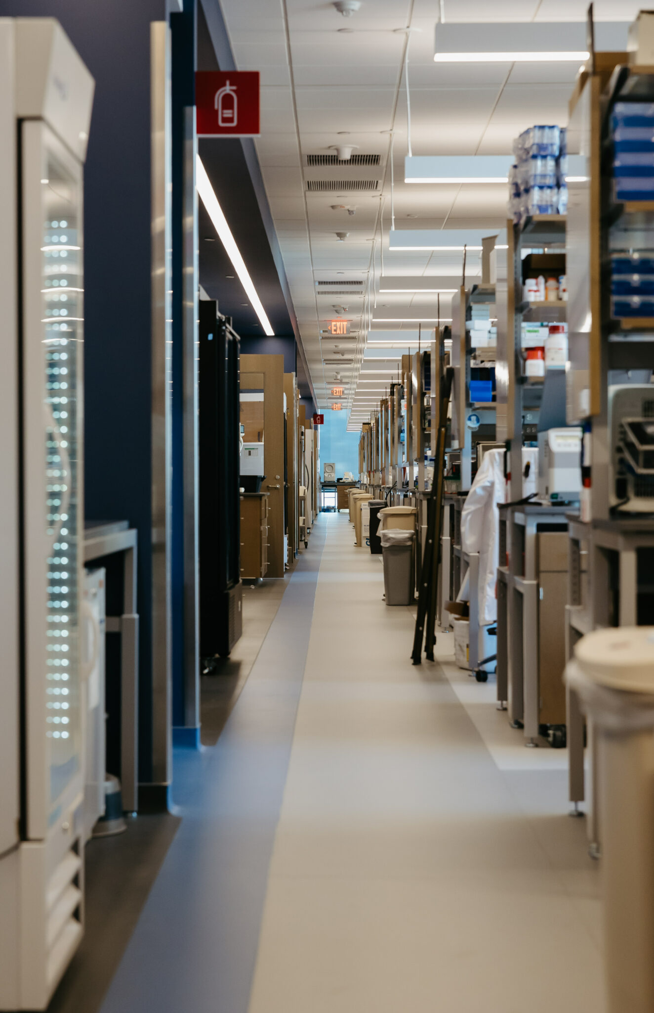 Optic Nerve Regeneration - Eye & Ear Foundation of Pittsburgh